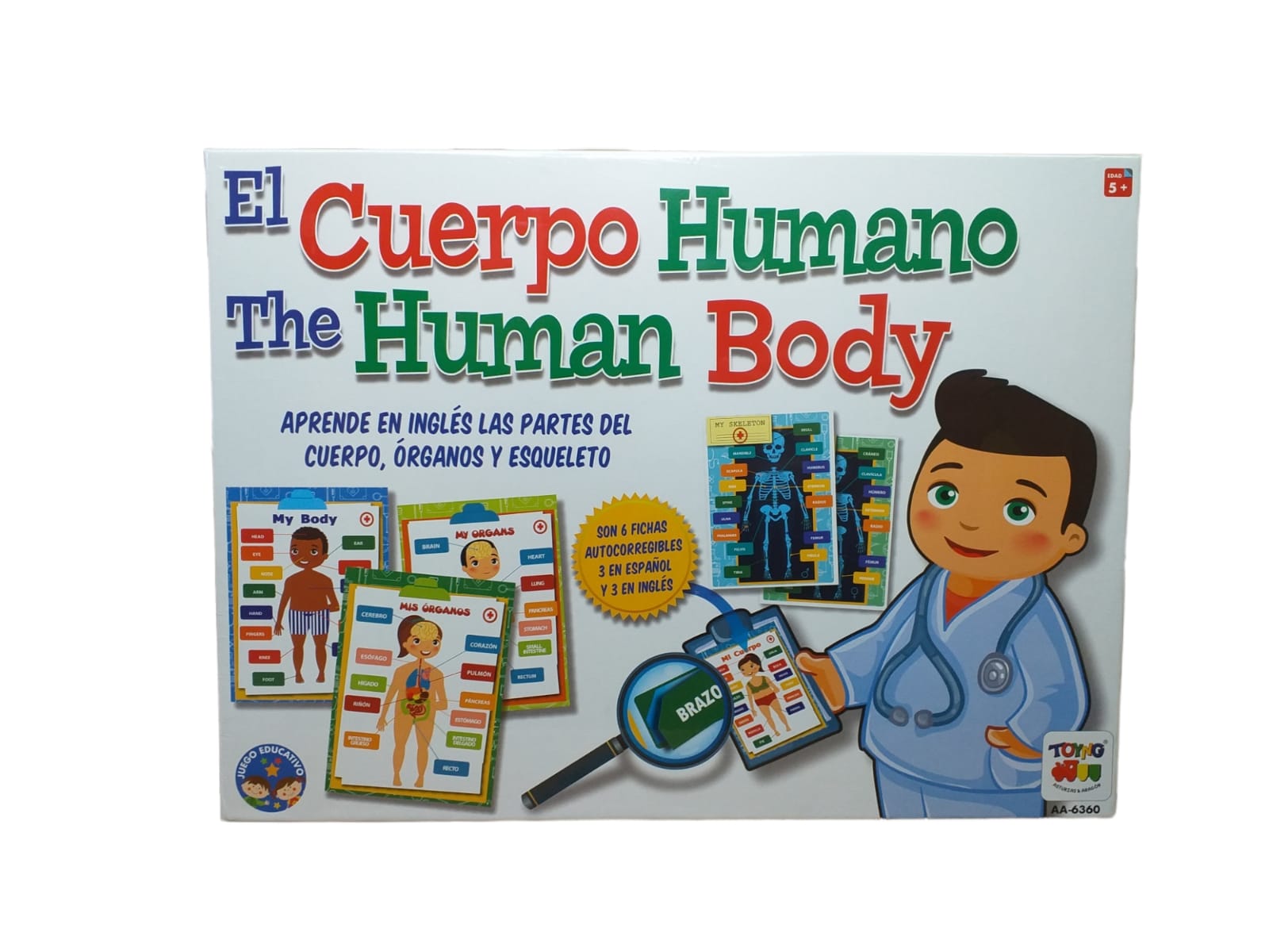 JUEGO EL CUERPO HUMANO