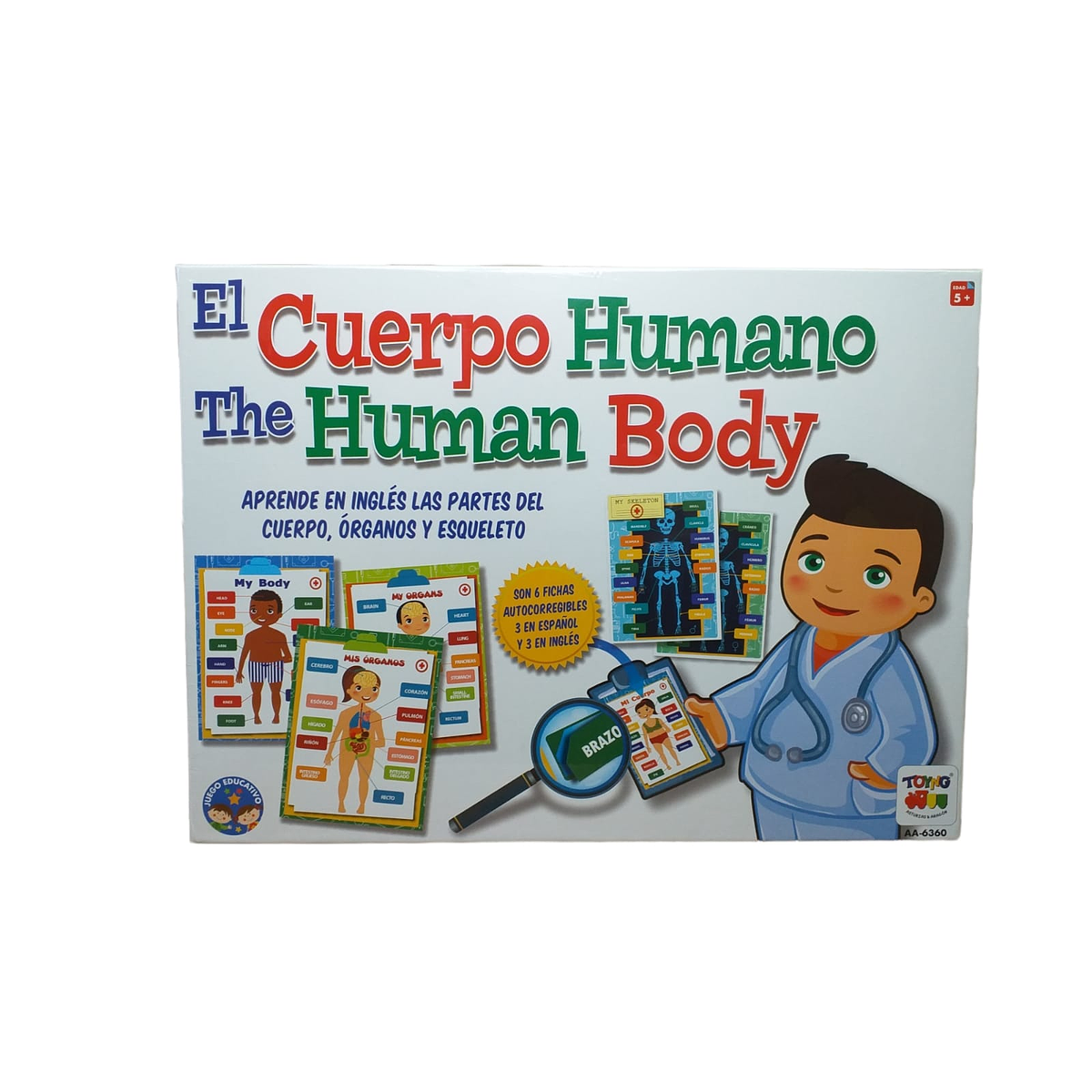 JUEGO EL CUERPO HUMANO