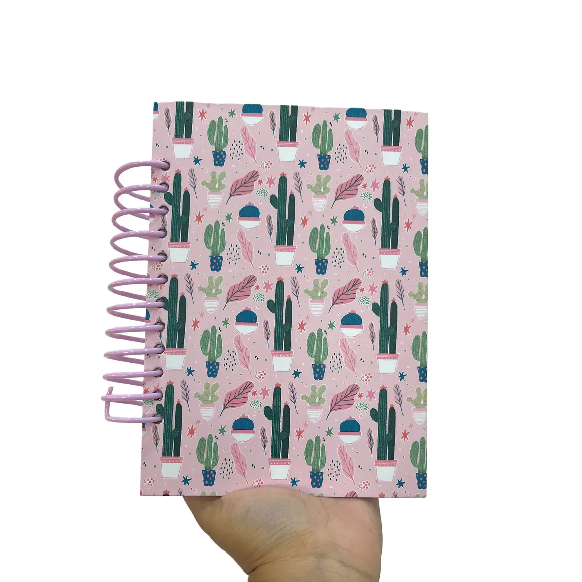 Cuadernos