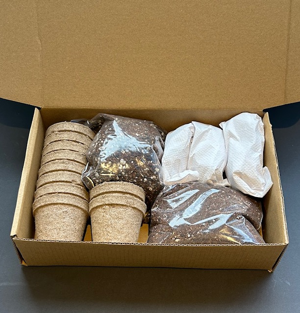 set de 10 macetero biodegradable con suculentas