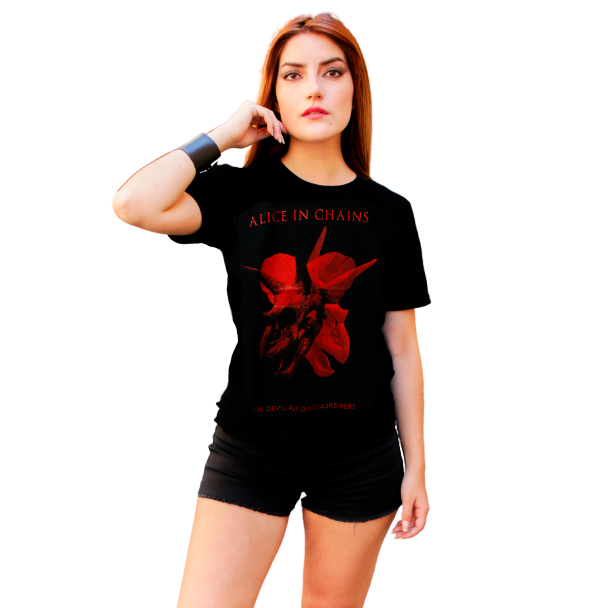 POLERA BANDA ALICE IN CHAINS THE DEVIL PUT DINOSAURS HERE