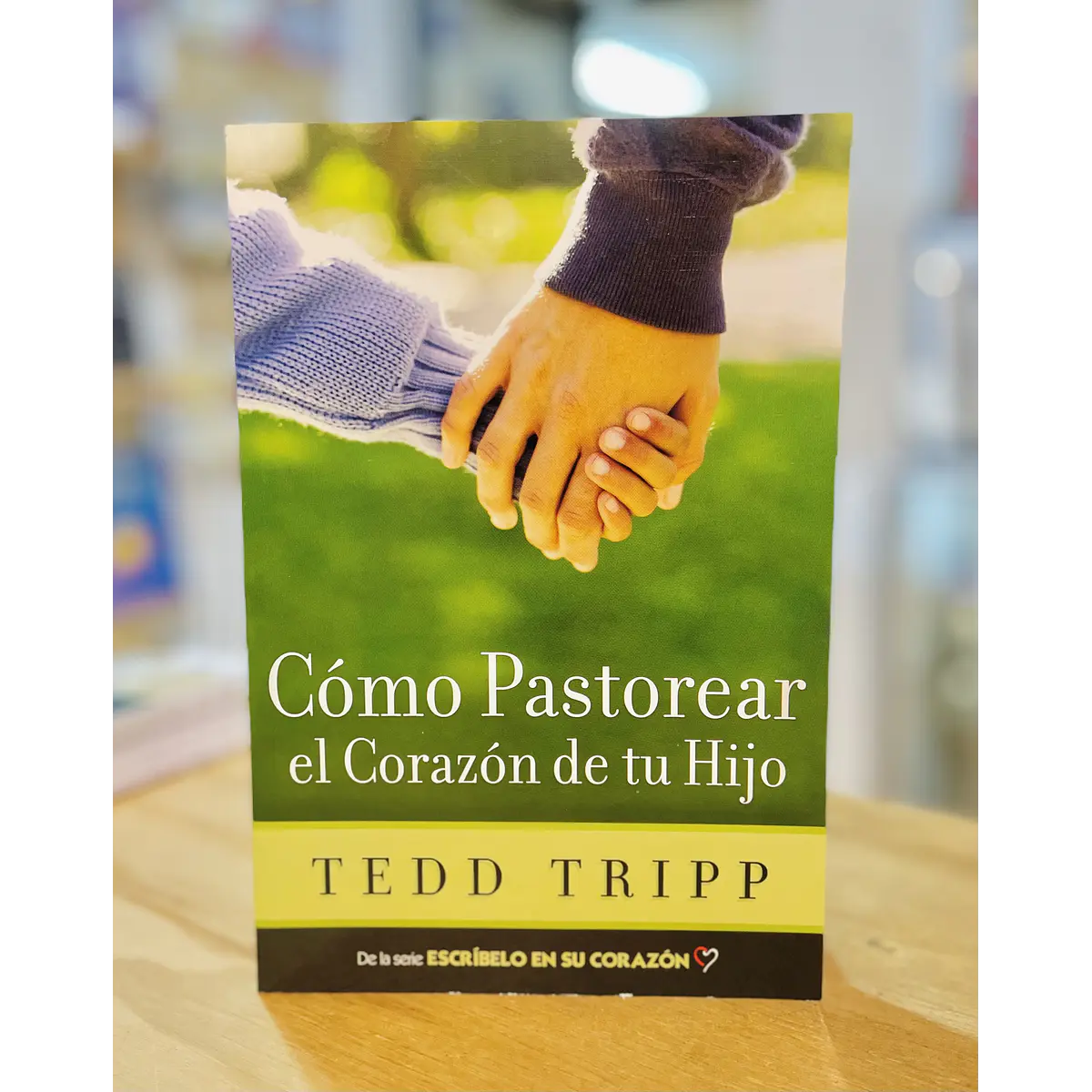 Cómo Pastorear el Corazón de tu Hijo