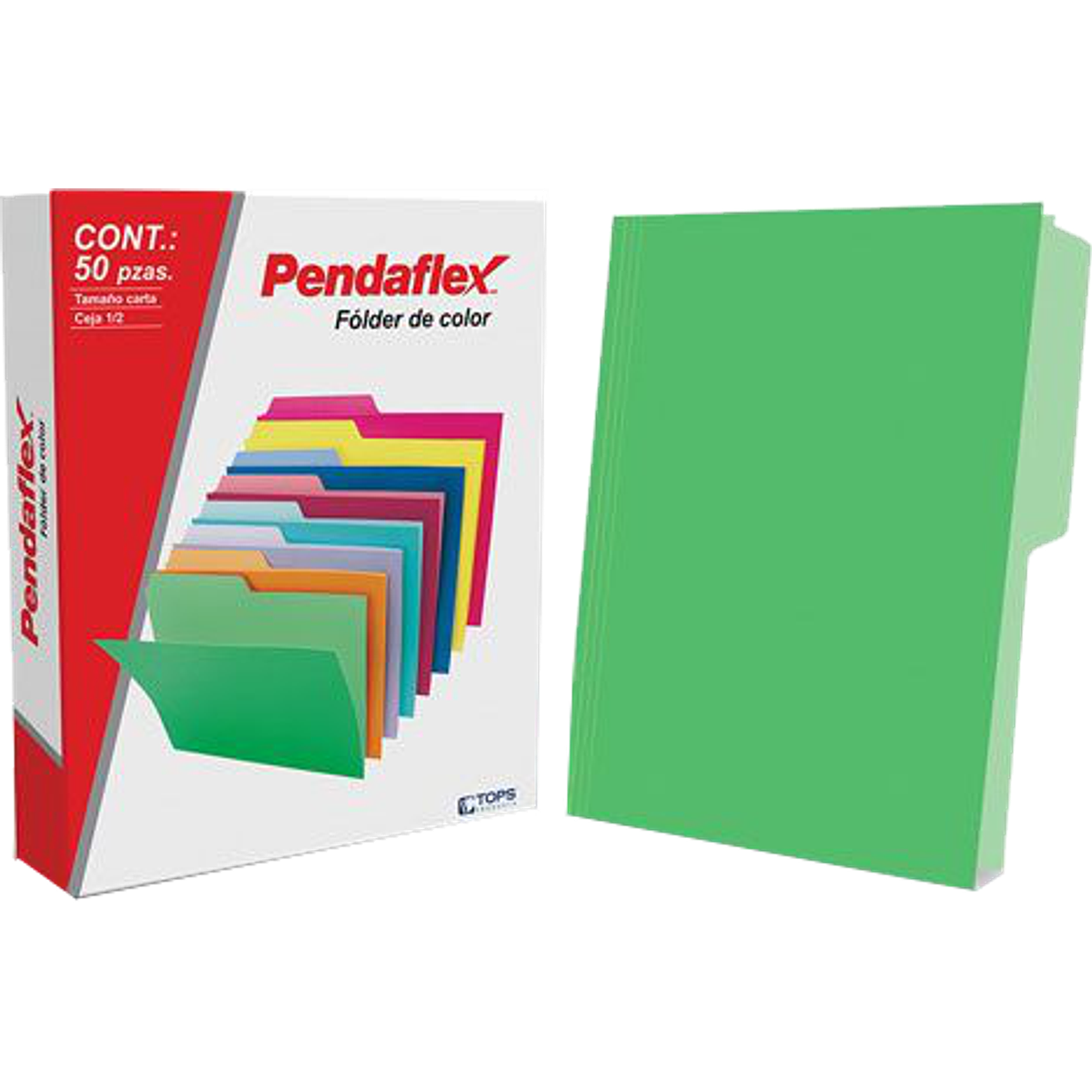 Folder color verde tamaño carta | Mafer Computación