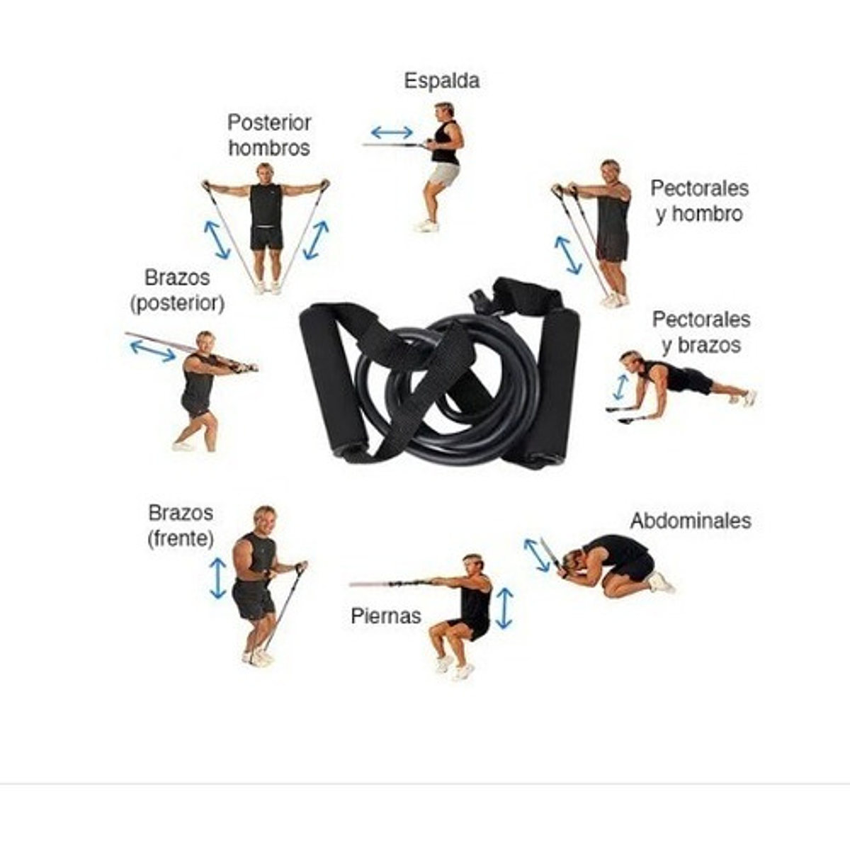 Ligas - Bandas Elásticas Para Ejercicios - Fitness | Magenta Glass