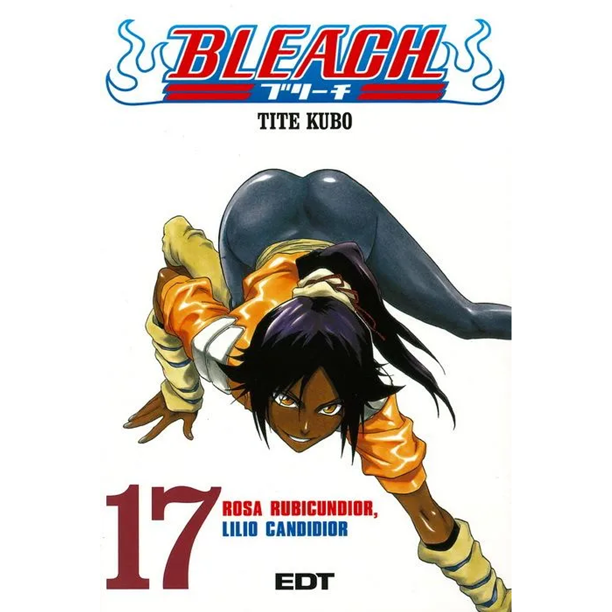 Bleach Vol.17 (Panini)