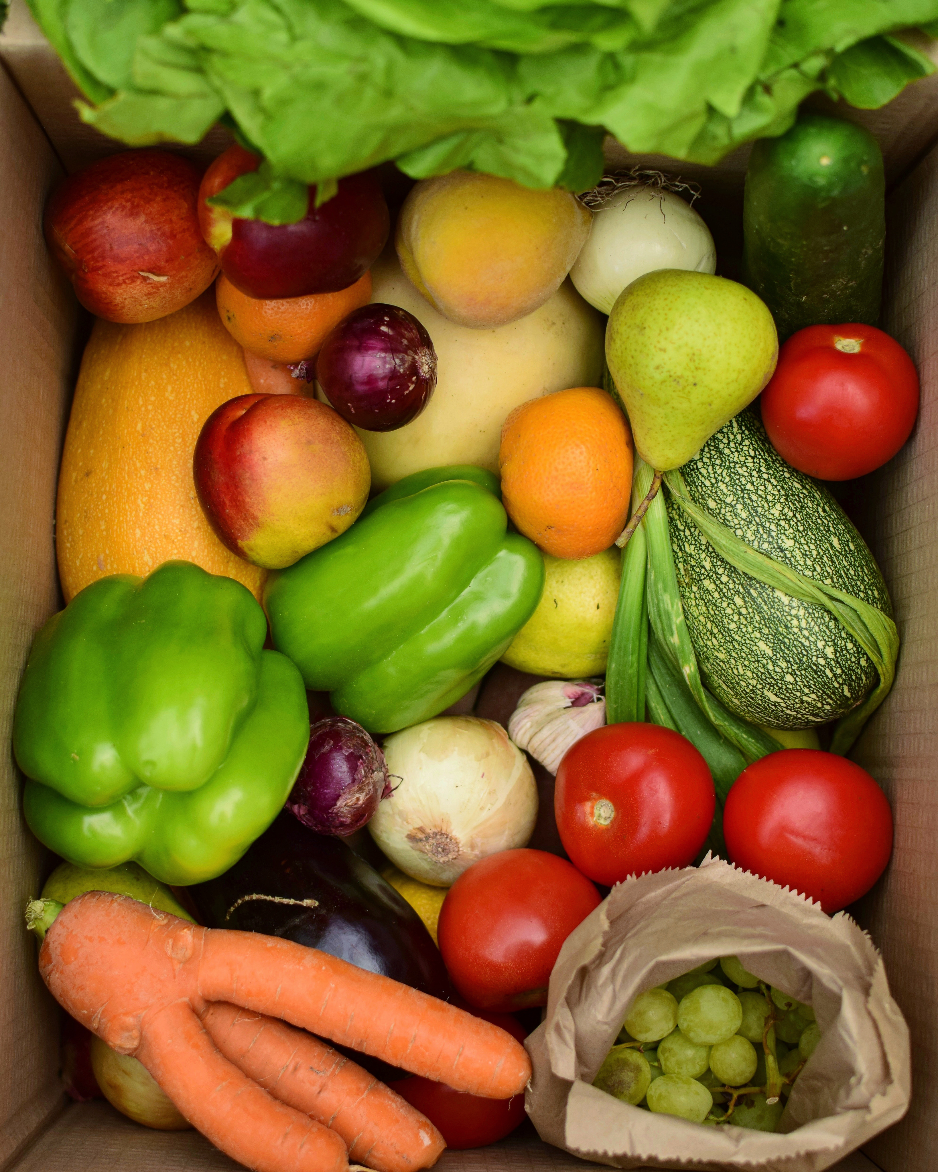 Los 10 mandamientos para evitar botar comida