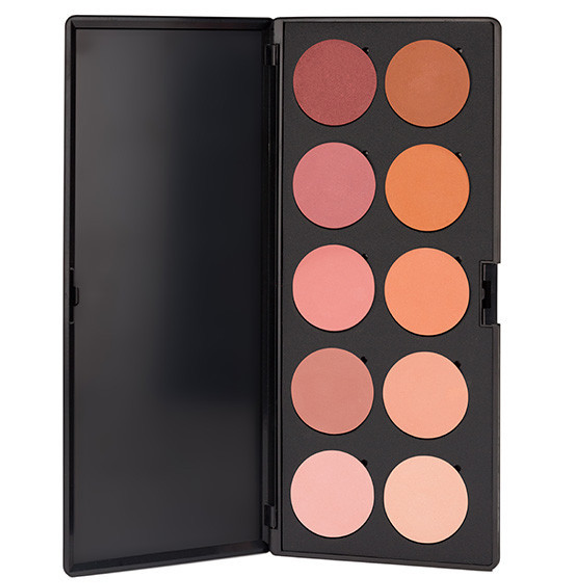 PALETTE 10 POWDER BLUSHES