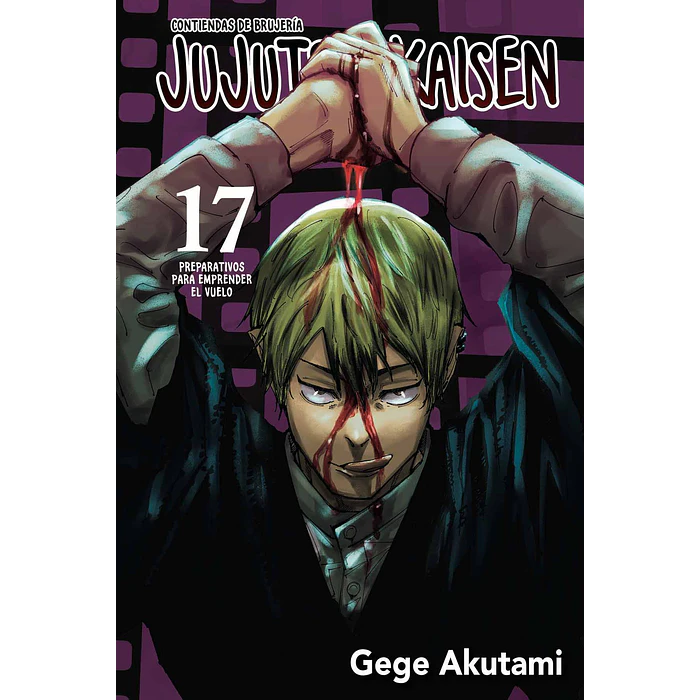 JUJUTSU KAISEN 17