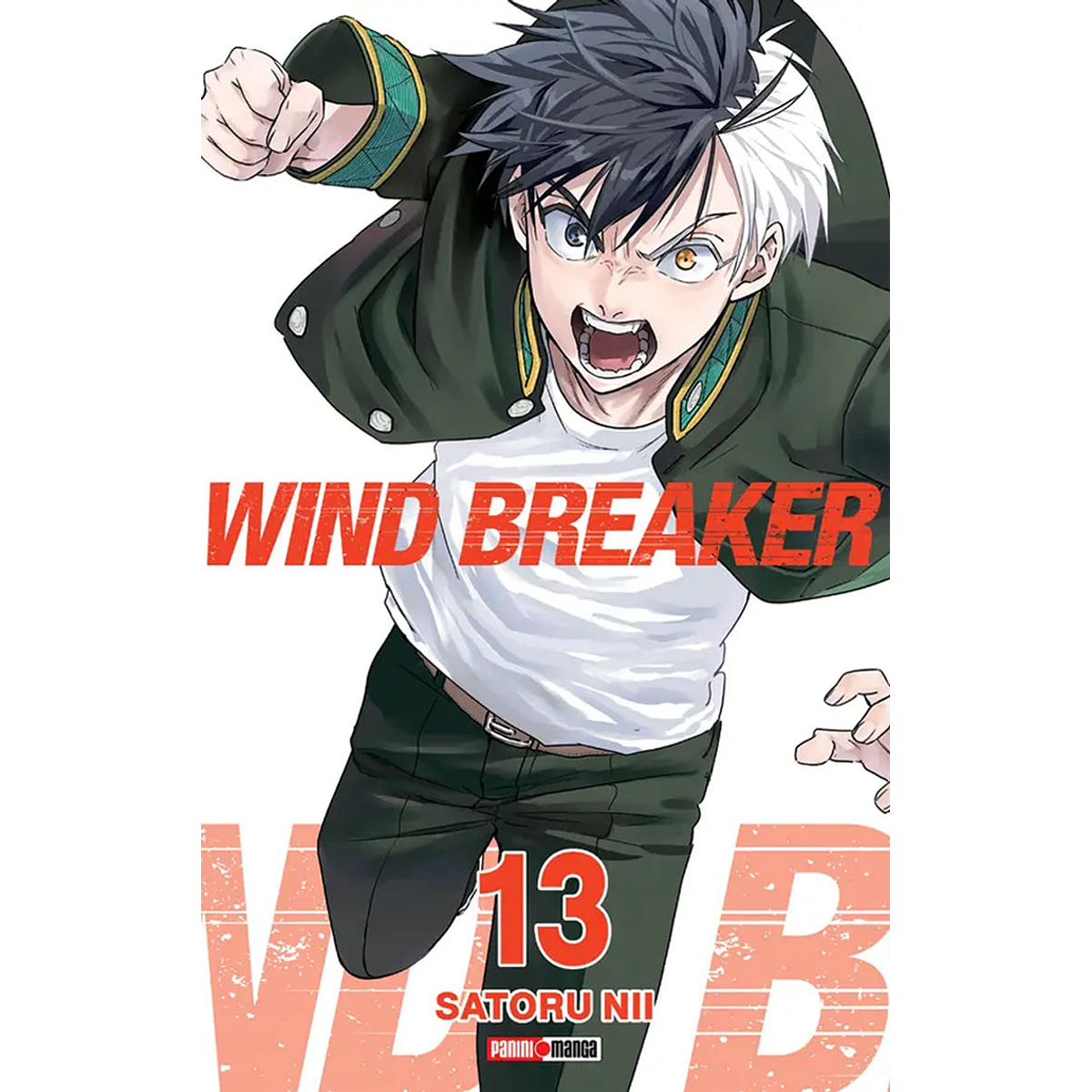 WIND BREAKER 13 | Mangabrería