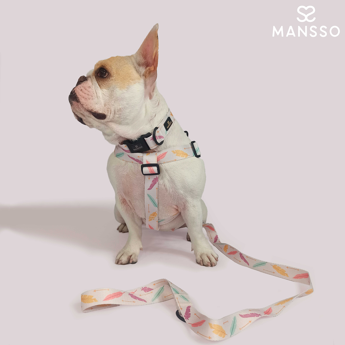 Collar, Arnés y Correa Plumas