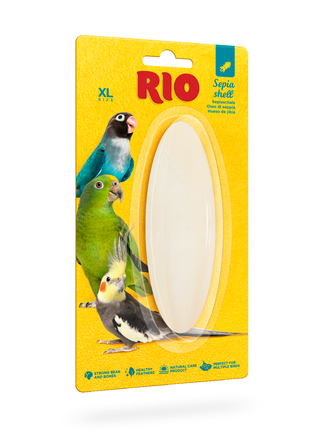 Rio Hueso de Jibia (M)