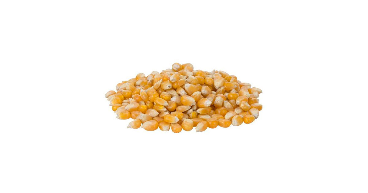 Maíz Curagua Saco 25Kgs.