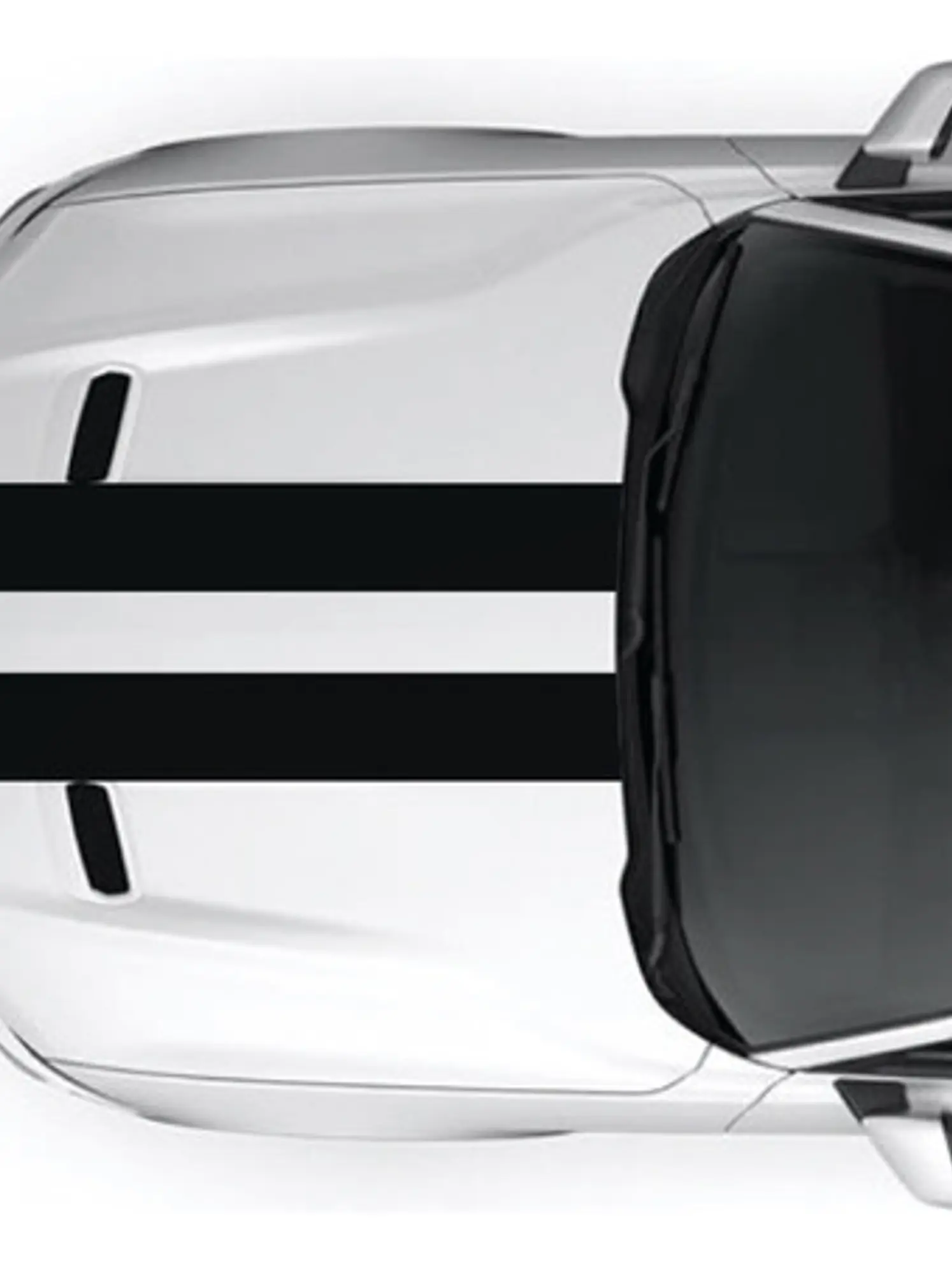 lineas Deportivas para Autos en Vinilo Automotriz