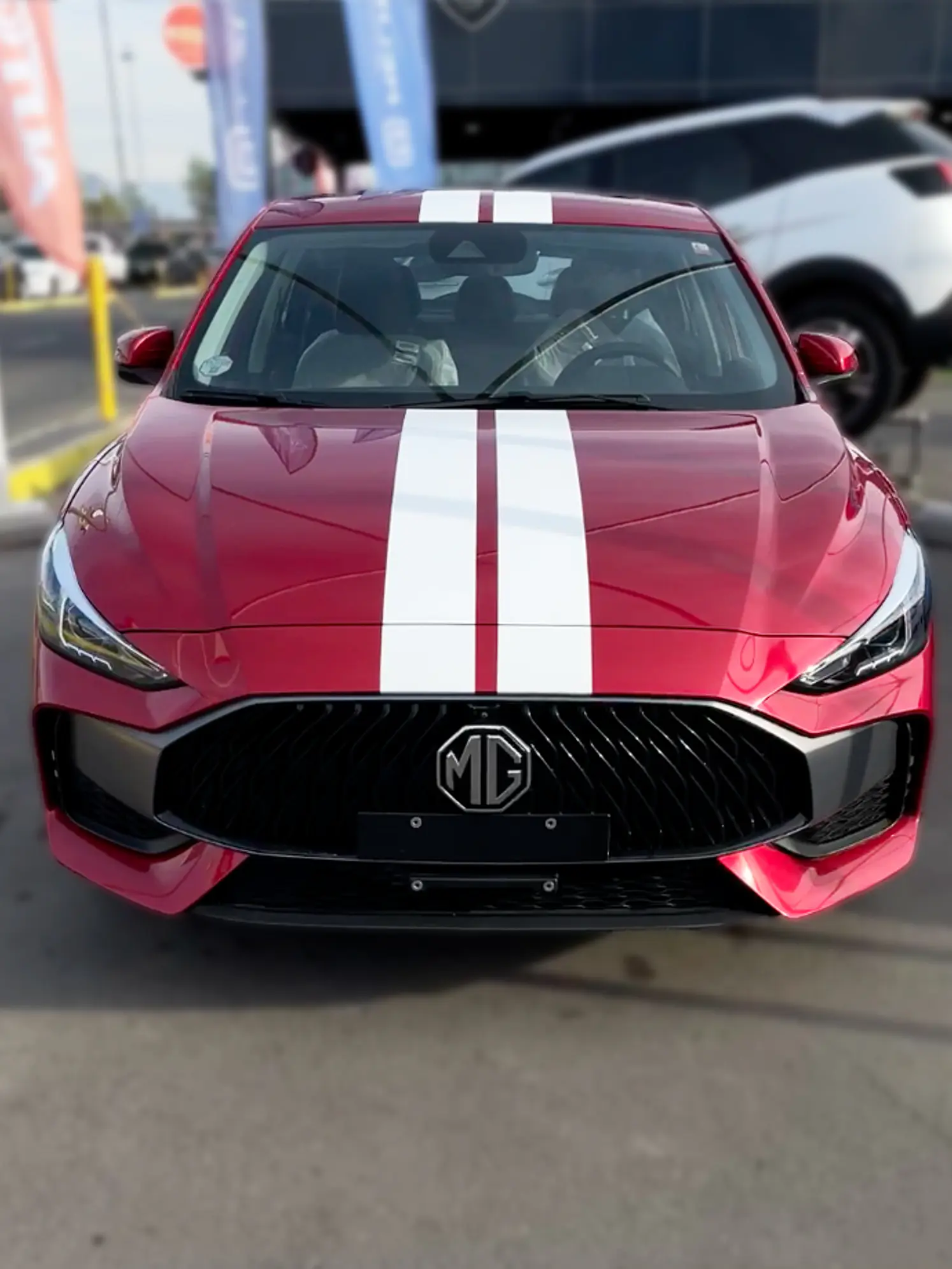 lineas Deportivas para Autos en Vinilo Automotriz