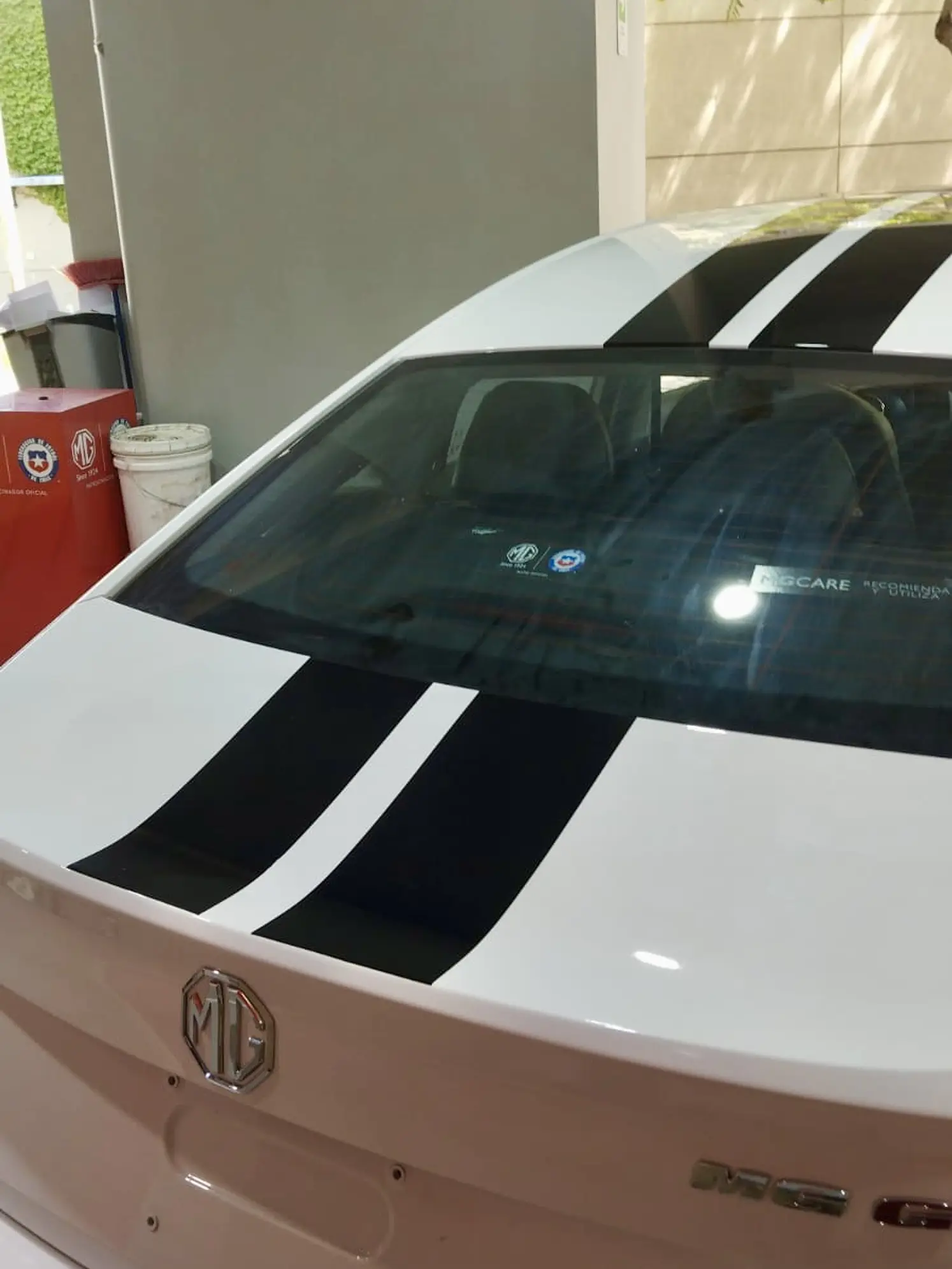 lineas Deportivas para Autos en Vinilo Automotriz