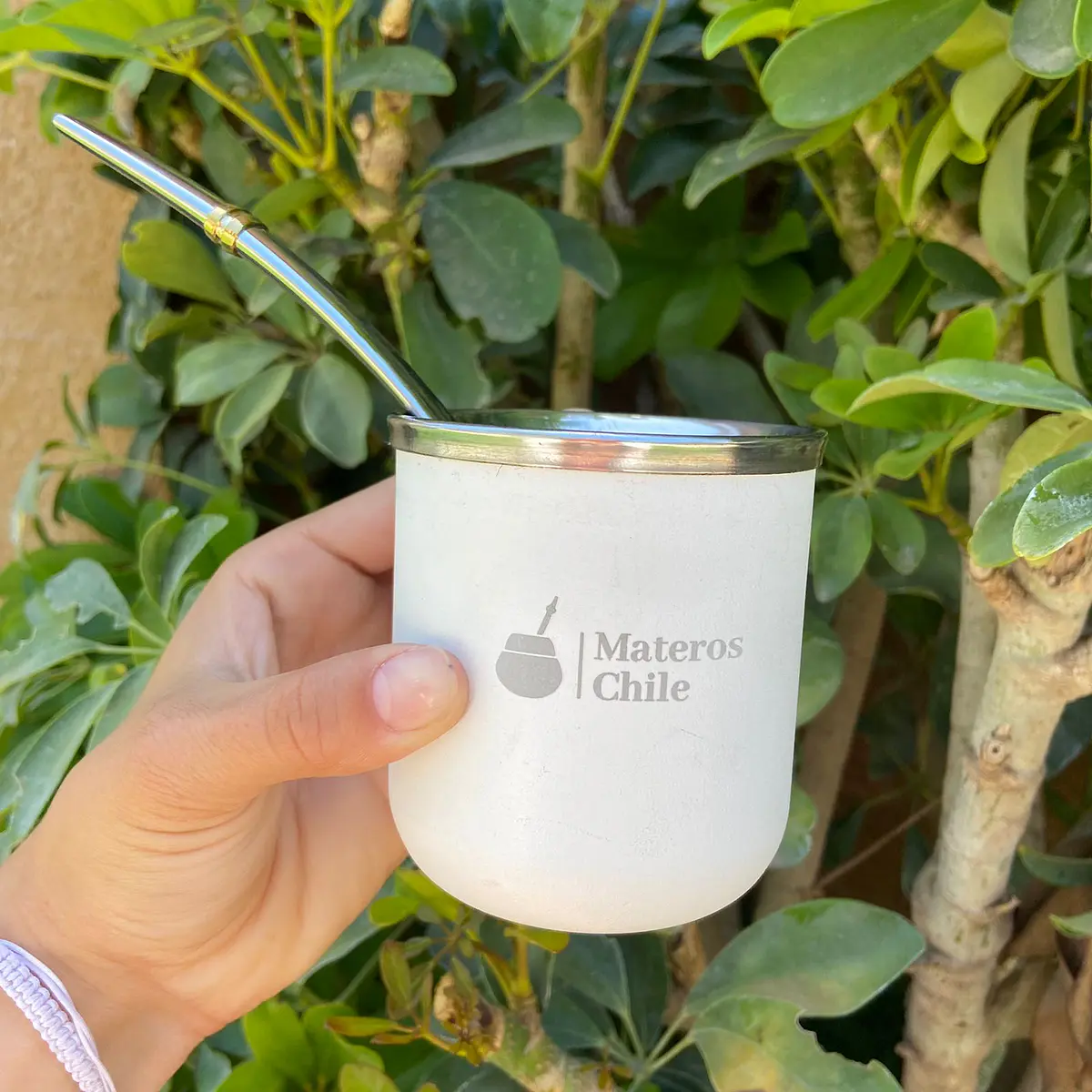 Mate de acero materos chile