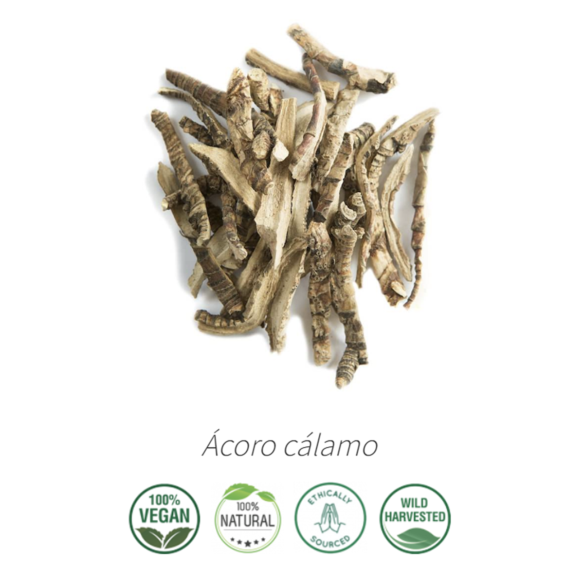 Aceite Cálamo / Calamo (esencial)