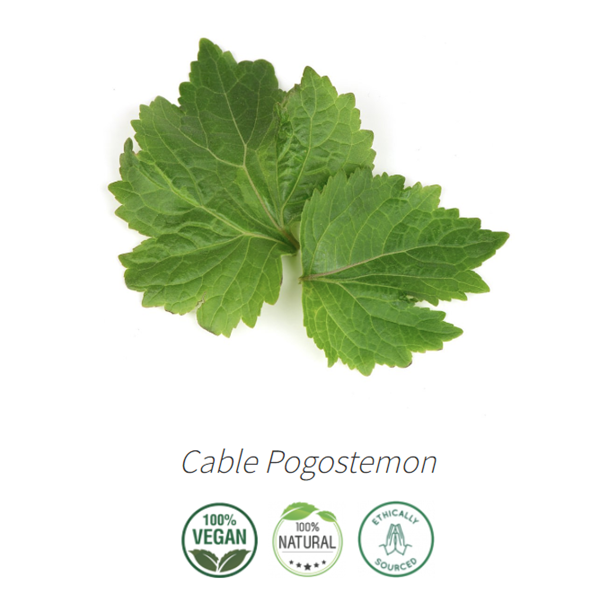 Aceite Pachuli o Patchouli (Esencial) 100% Puro