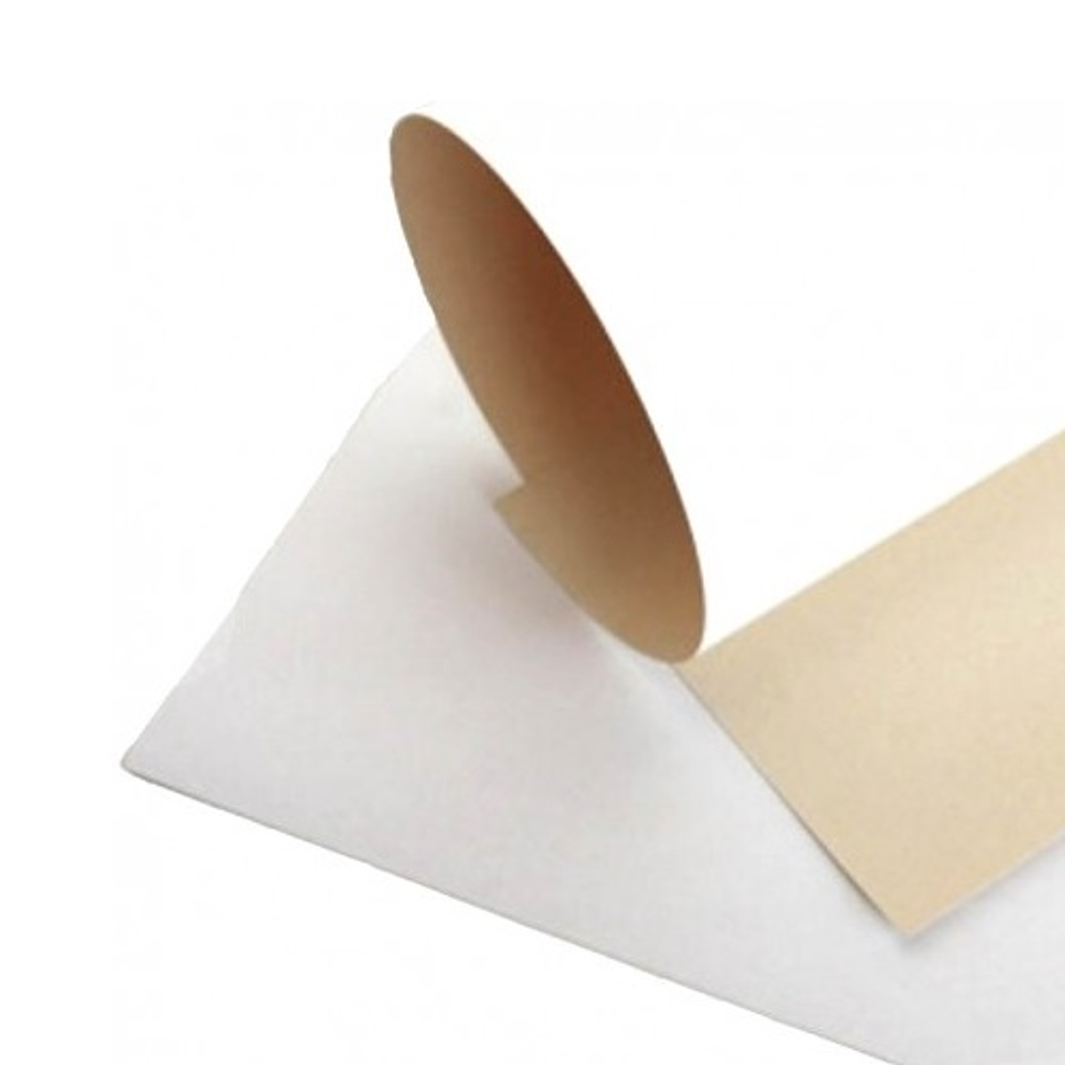 Carton forrado blanco b/r/c 255gr 77x110 edipac