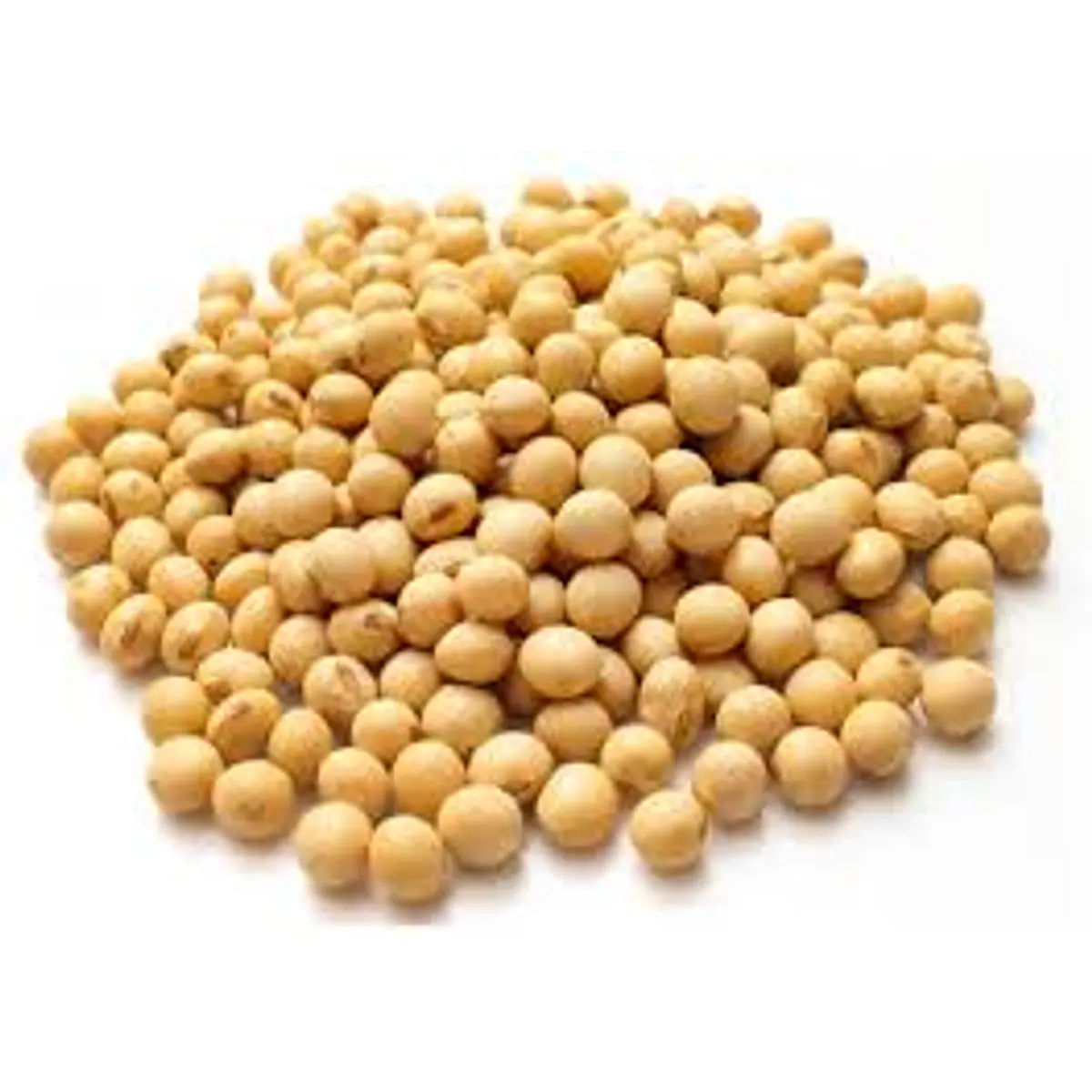 Porotos secos