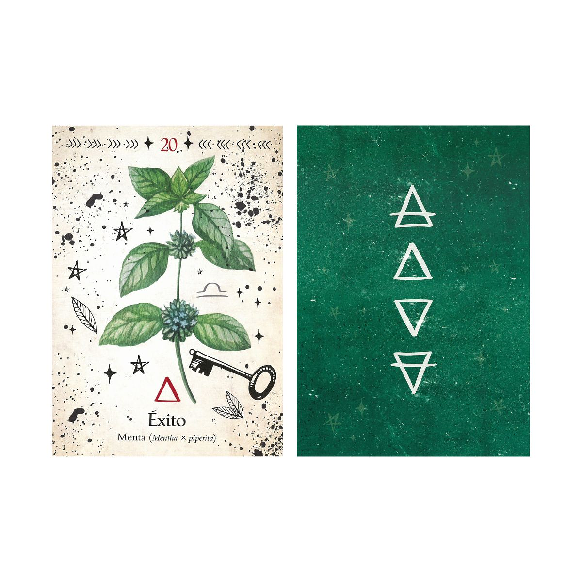 Oráculo de la Bruja Verde Original