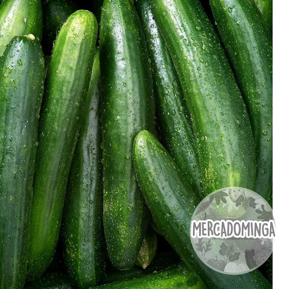 Pepino