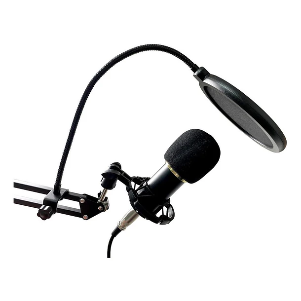 Kit Micrófono Estudio Condensador Profesional + Tarjeta Usb.