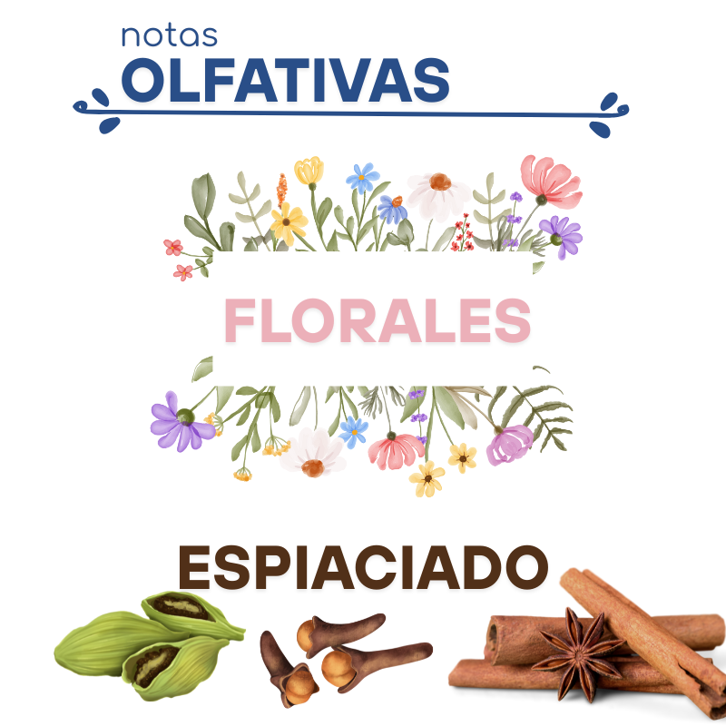 Perfumes Alternativos