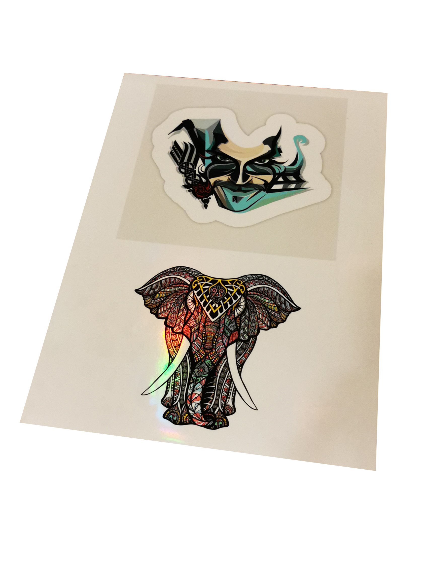 Vinilo Transparente Tornasol Adhesivo A4 20 hojas (waterp...