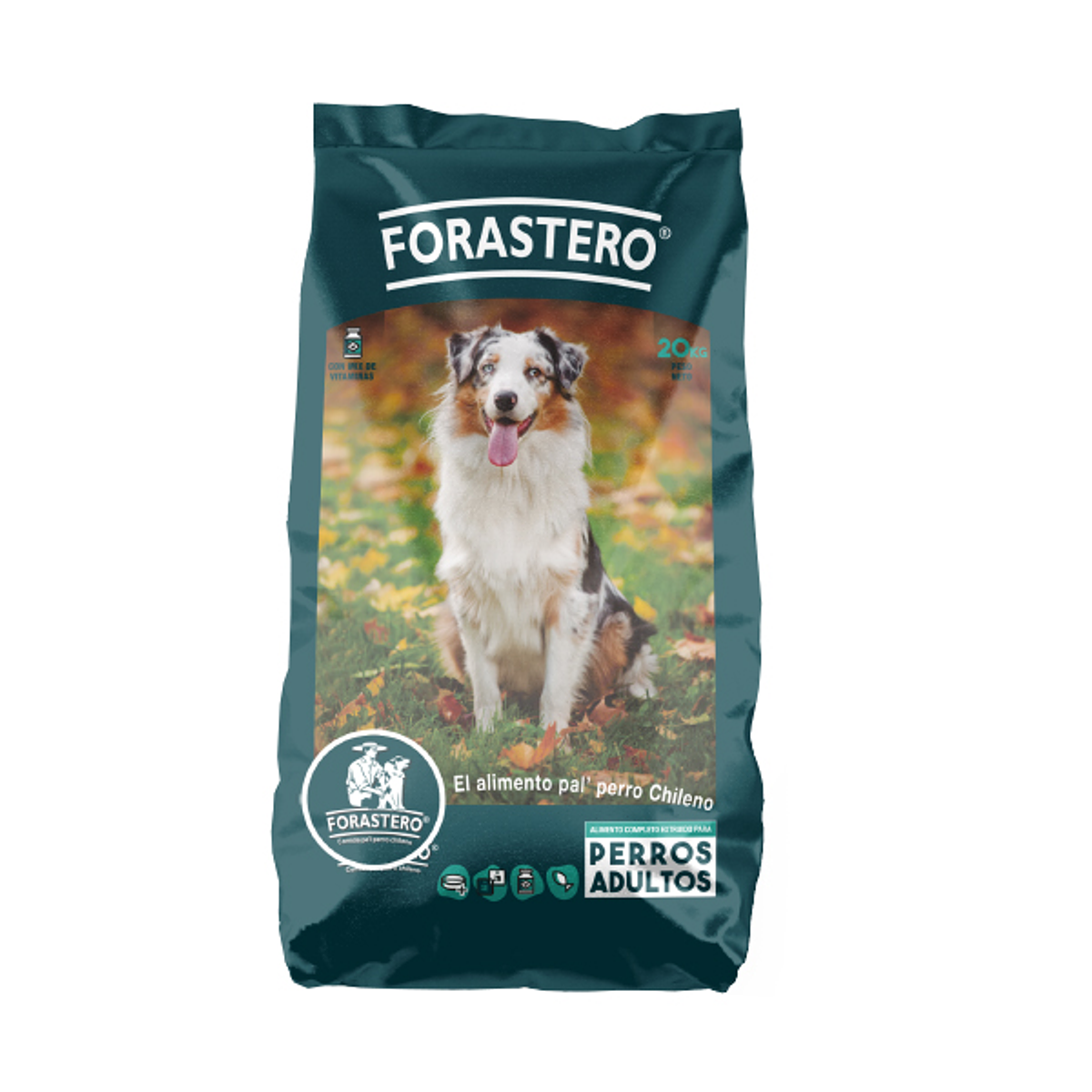 Forastero Perro Adulto 20 Kg