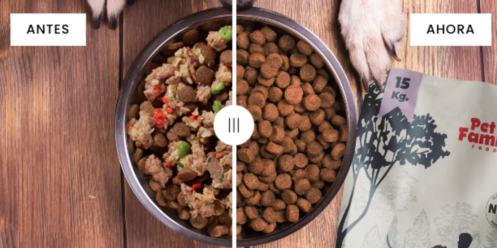 PetFamily Foods - Alimento para perro - MisterPet.cl