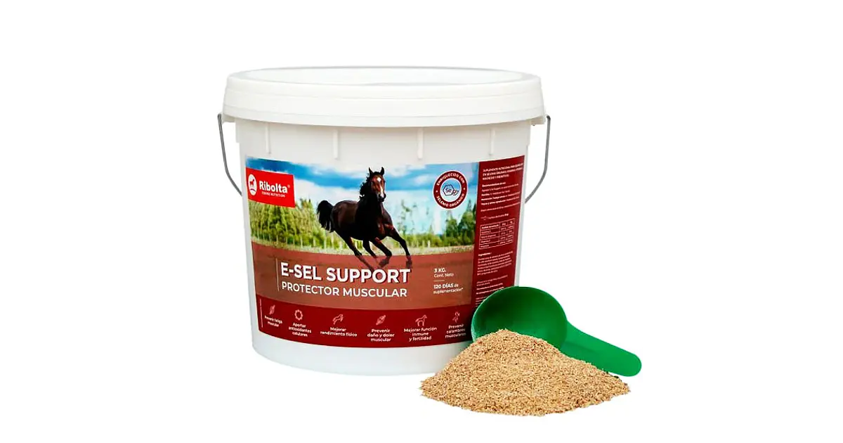 Ribolta E-sel Support Protector Muscular 9 kg