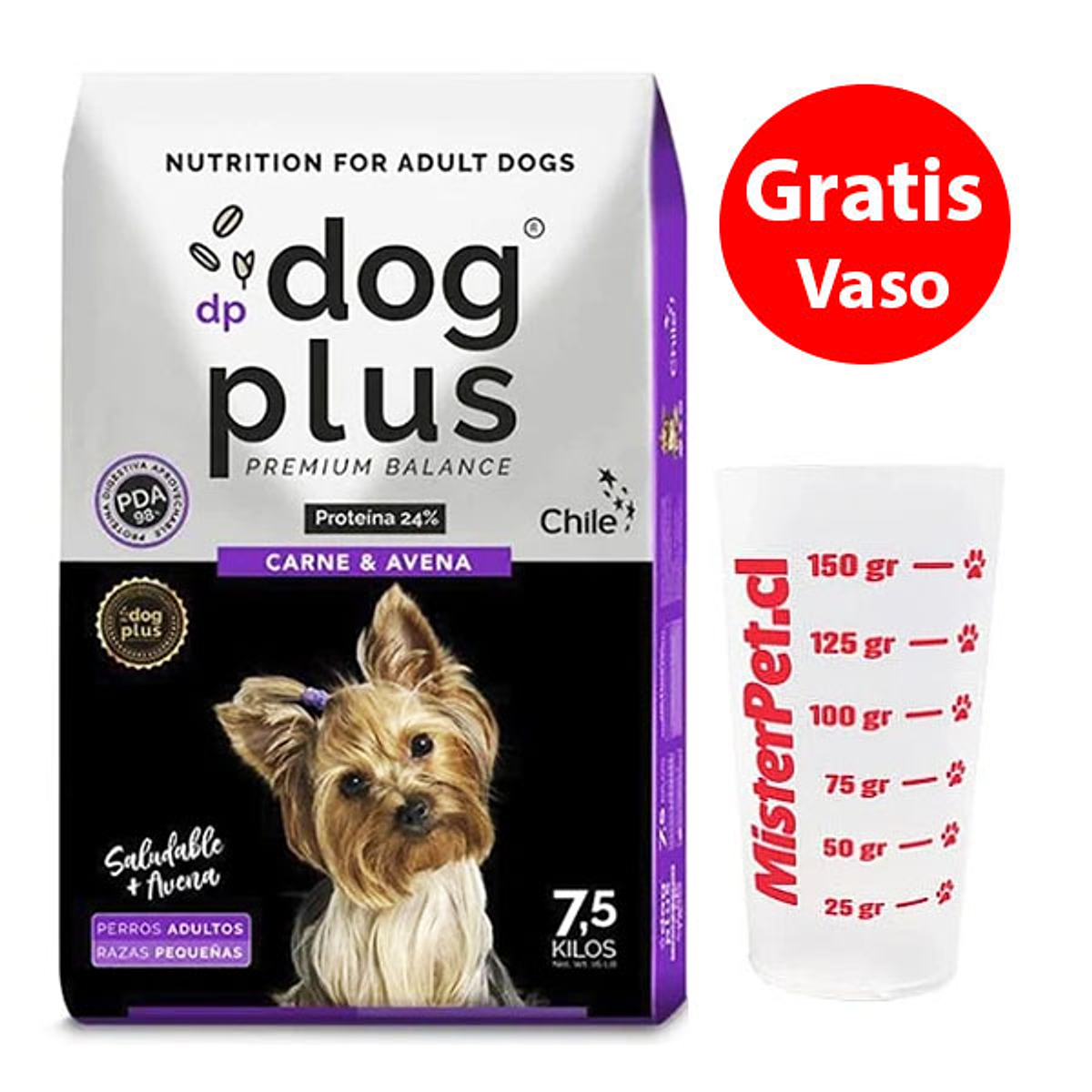Dog Plus