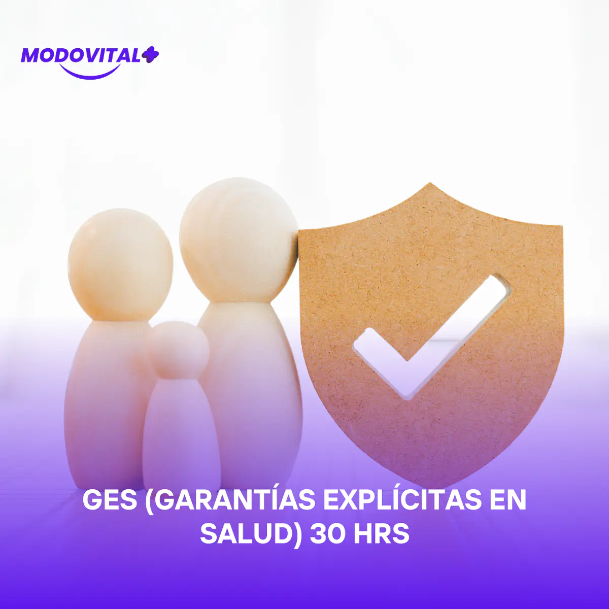 Curso GES (Garantías Explícitas en Salud) 30 Hrs