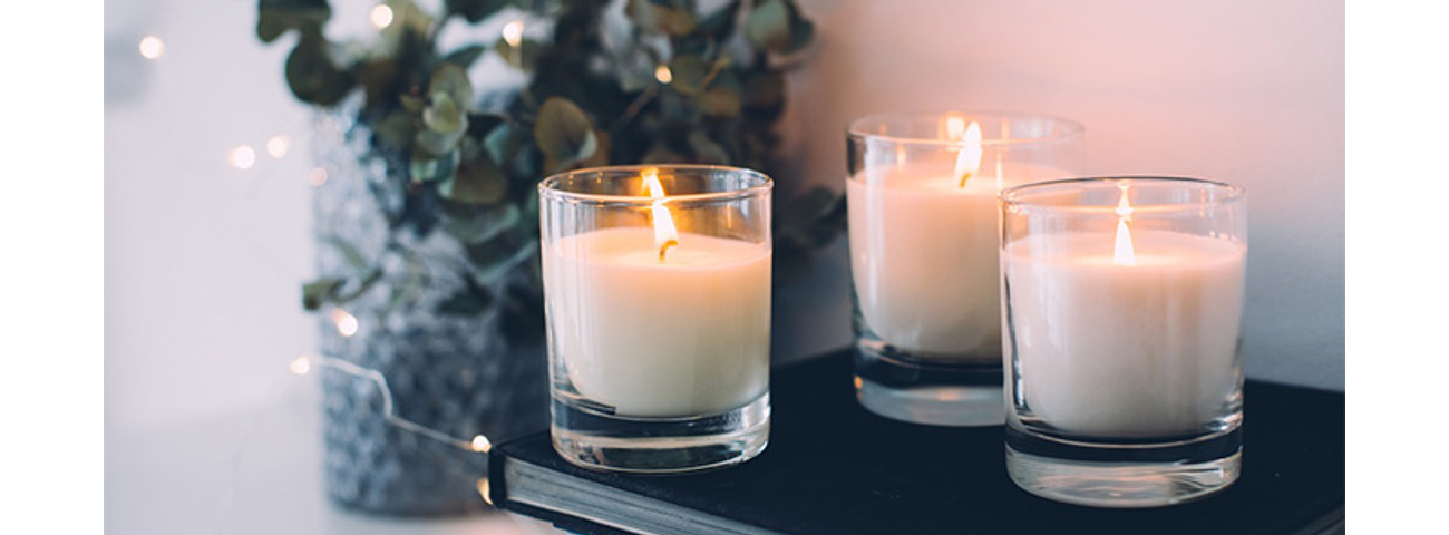 Cera de palma, ¿Qué es y cómo usarla?