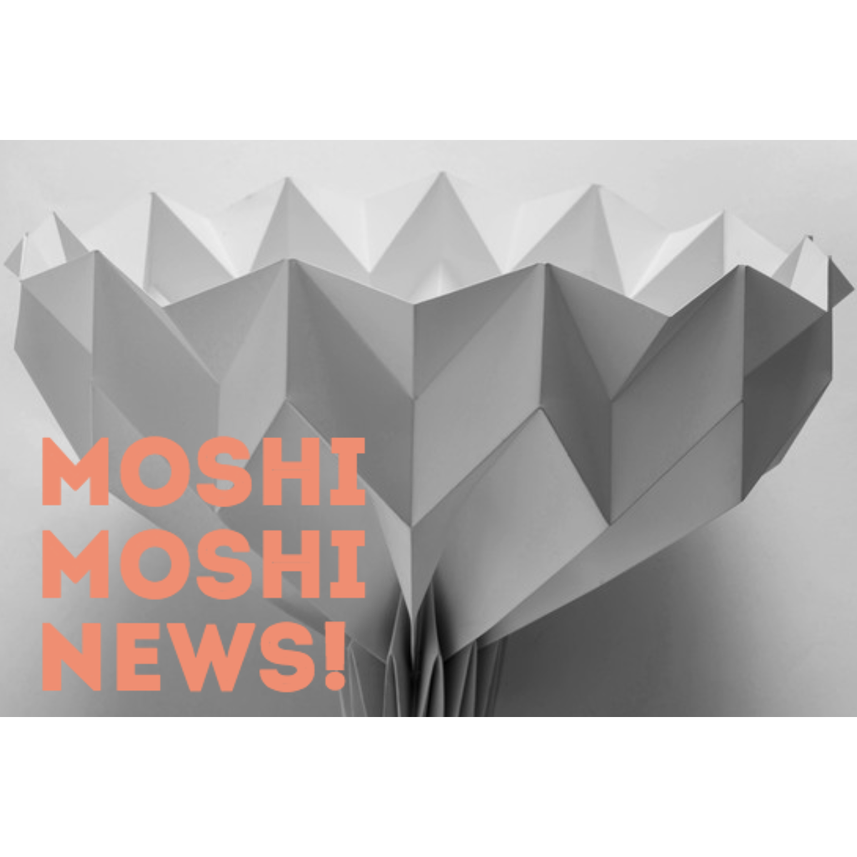 NOTICIAS MOSHI!