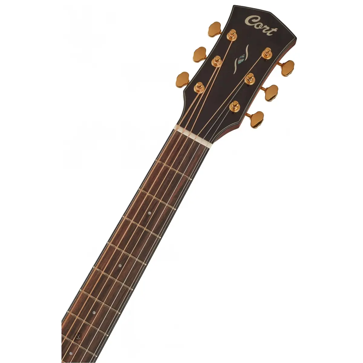 CORT GOLD OC6 NAT