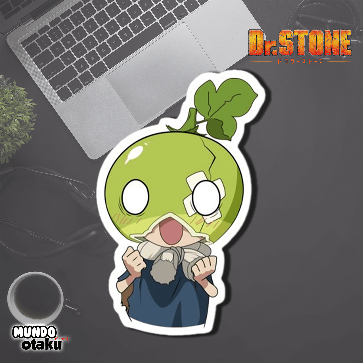 Set 15 Stickers - Dr Stone