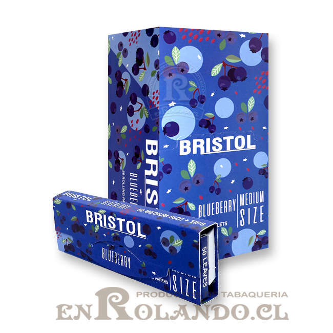 Combipack Bristol Arándanos - Display 24 Uds. ($11.990)