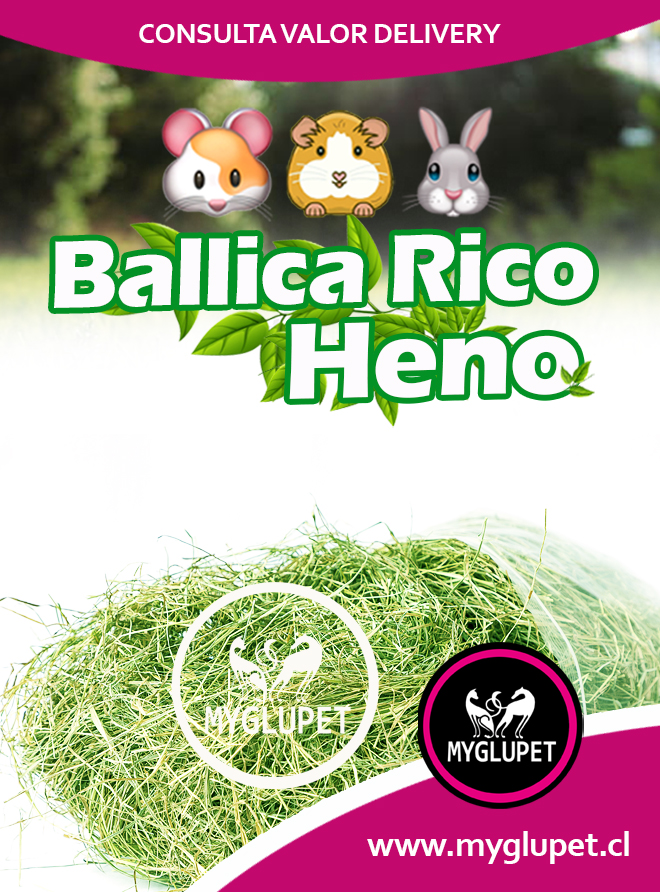 Heno Ballica 700 gramos
