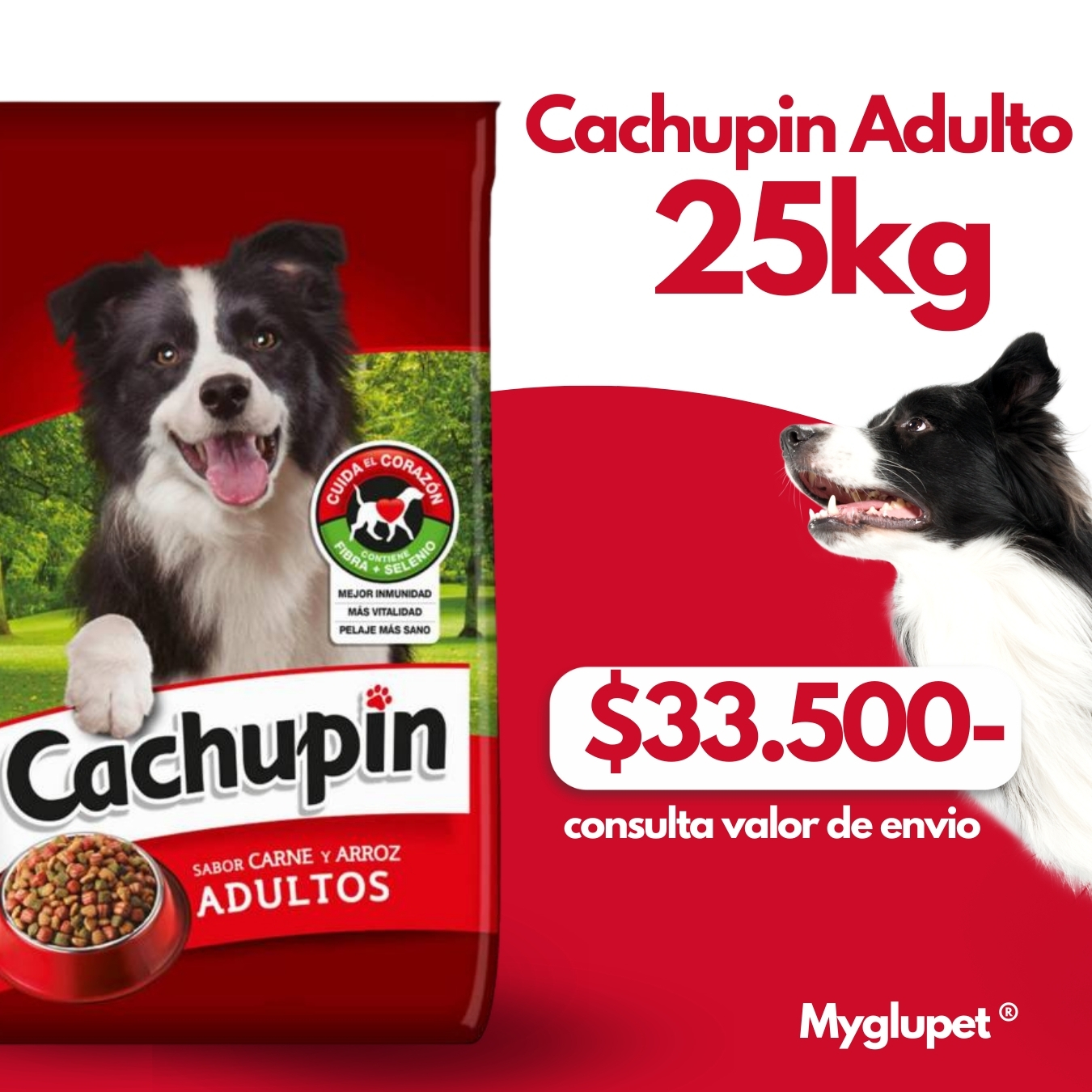 Cachupin Adulto 25 kilos sabor Carne y Arroz