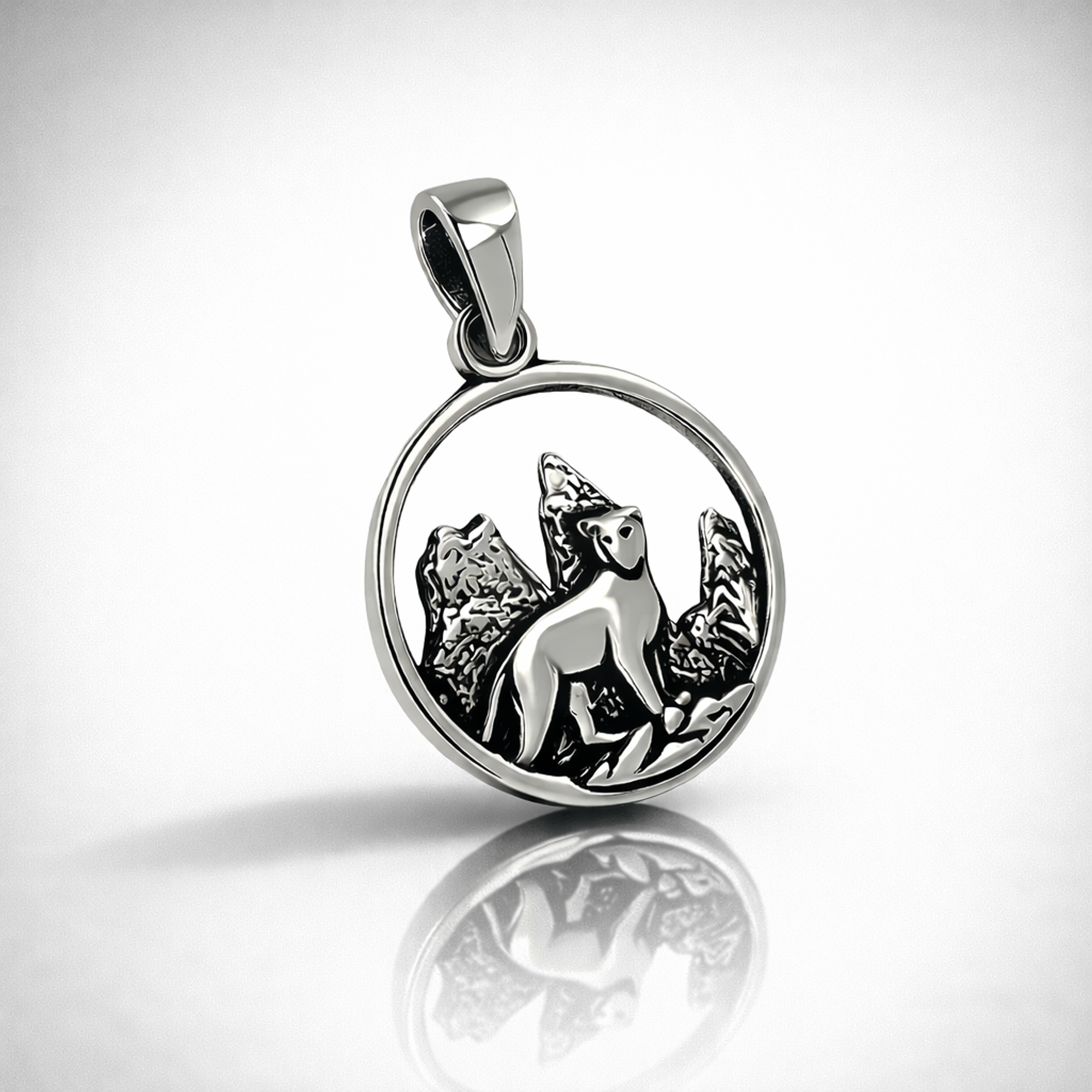 Puma torres delpaine