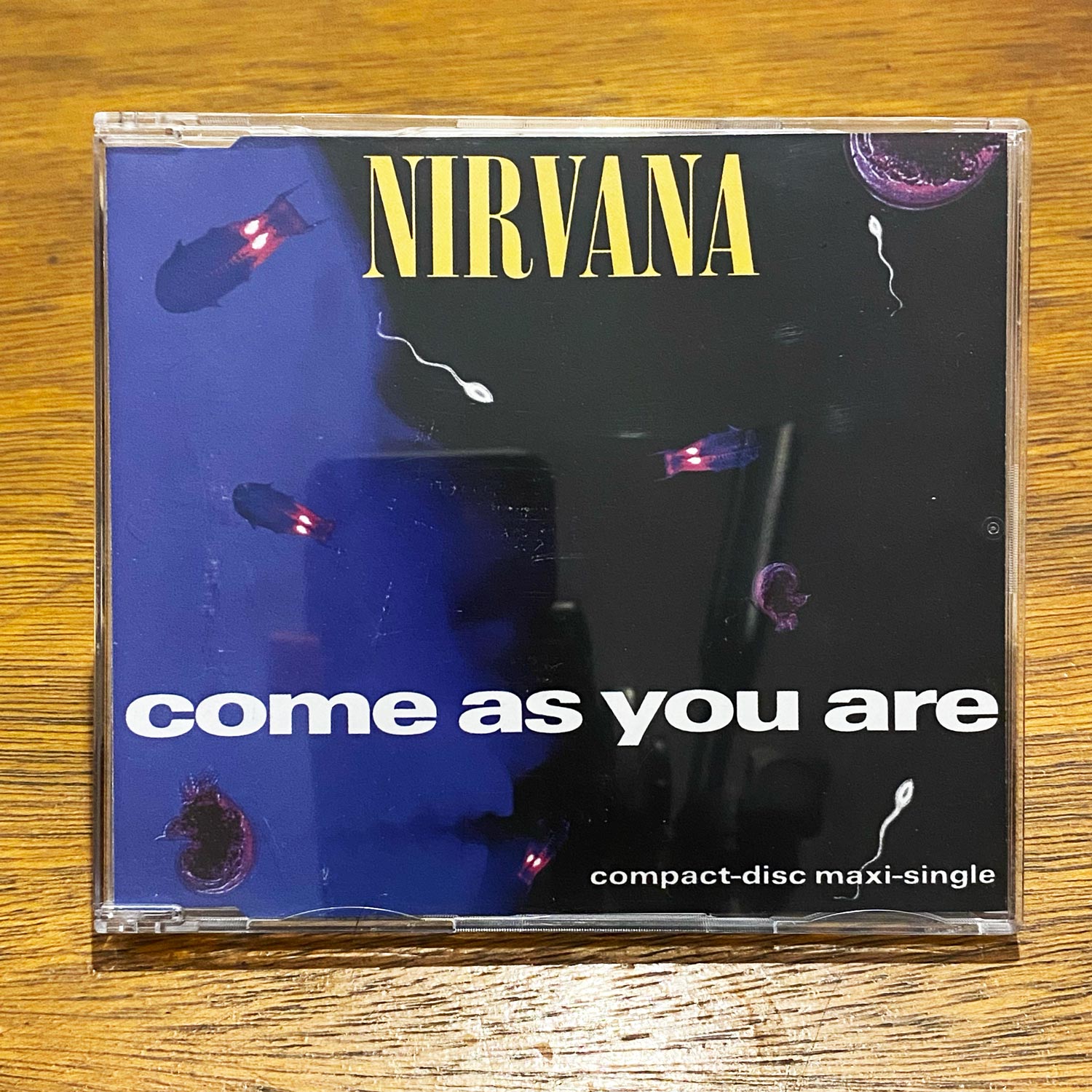 Nirvana - Come as you are
