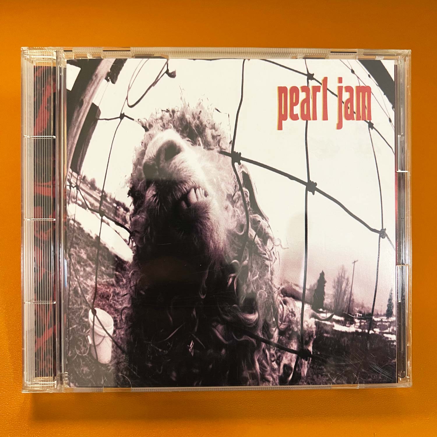 Pearl Jam - Vs