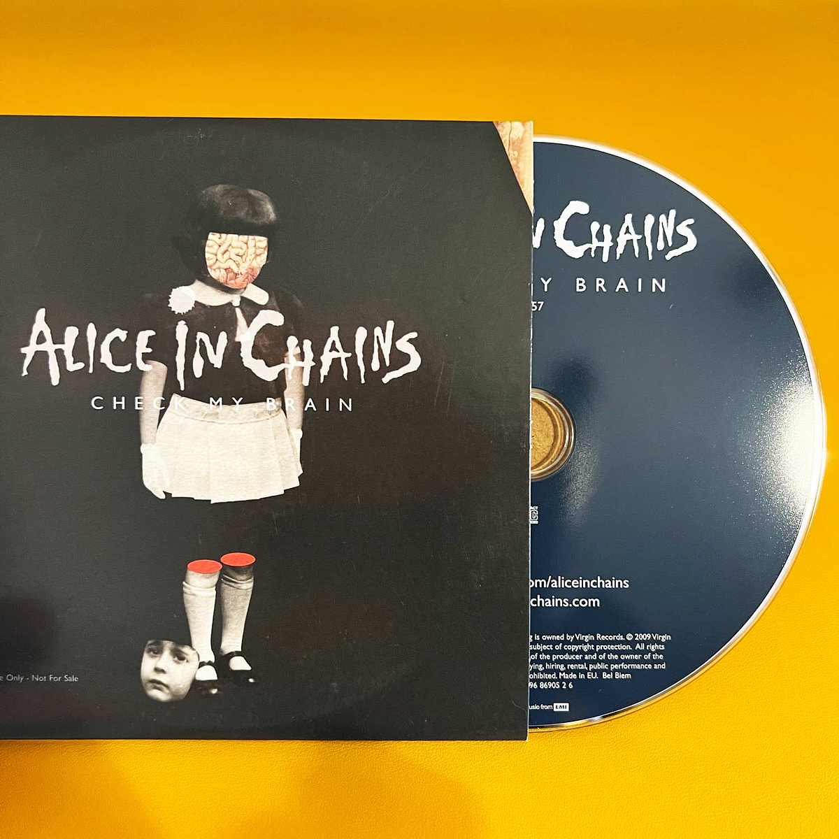 Alice In Chains - Check My Brain