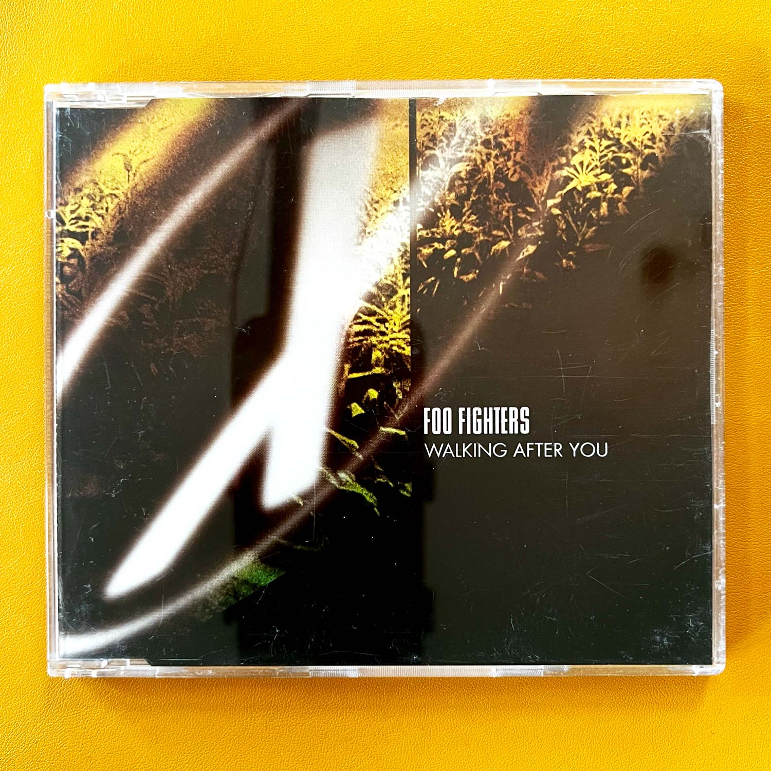 Foo Fighters - Walking After You