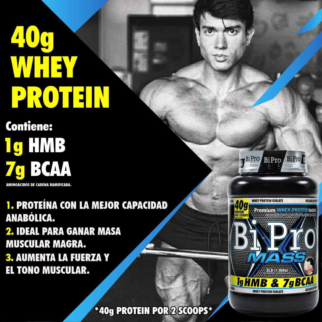 BiPro Mass x 1368 gr Elite Nutrition