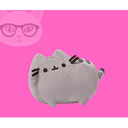 Pusheen con cupcake