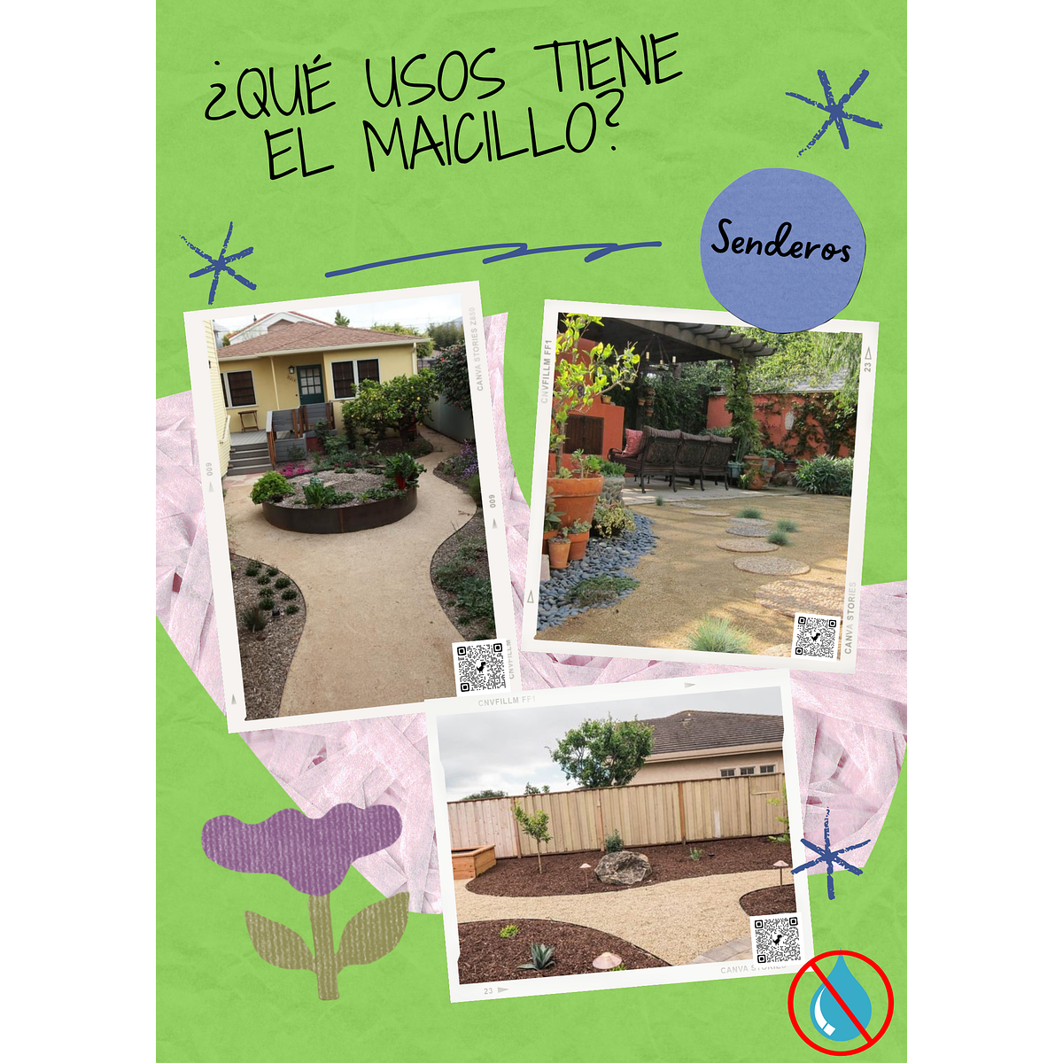 Maicillo Saco de 20 kilos