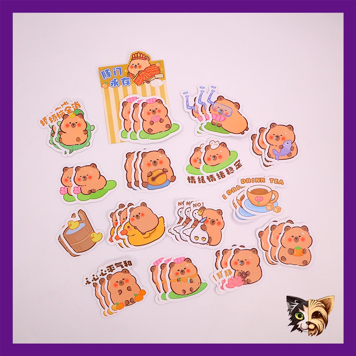Set Stickers Capibara